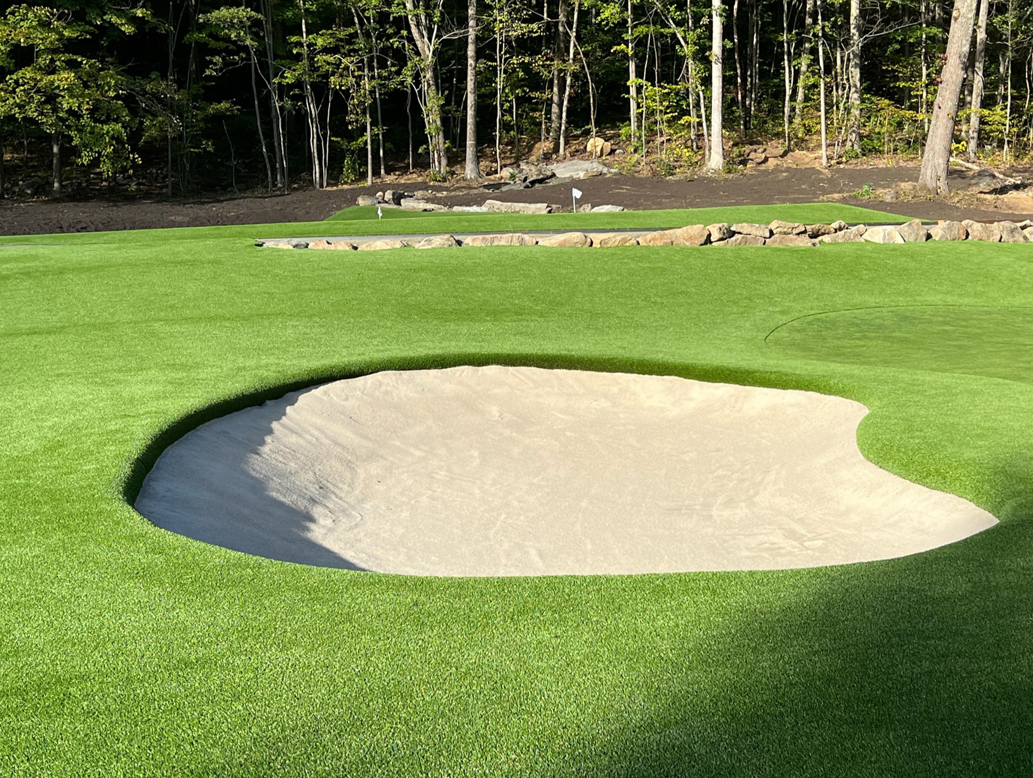 Long-lasting, expert synthetic turf solutions - Performance Turf ...